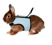 Hamuri și lese pentru iepuri și cobai - Lumea lui Odin